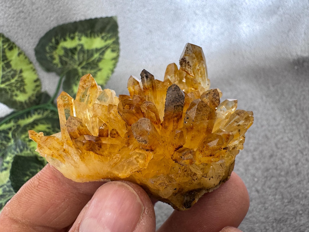 Quartz Limonite Hematite Madan Bulgaria Natural Crystal Minerals ...