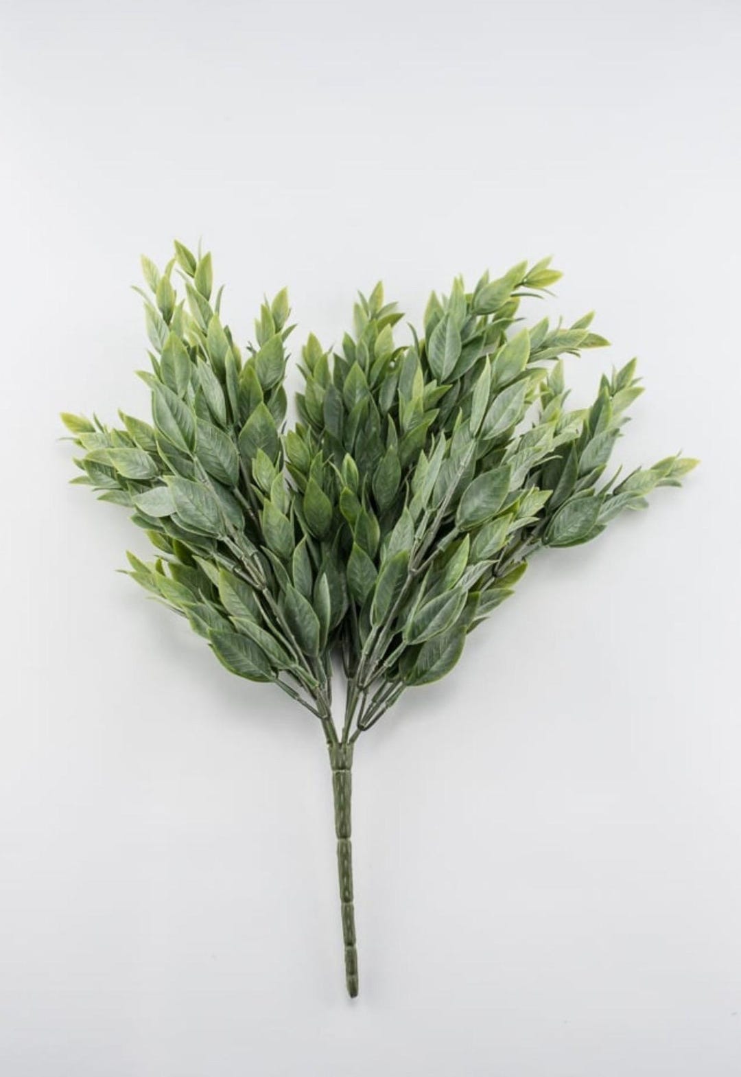 Greenery Bush, Ruscus Green Greenery, L Greenery, Grey Green Greenery ...