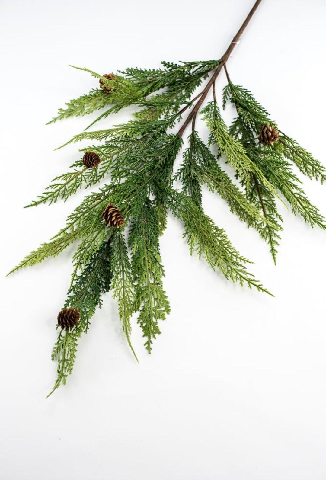 Raz Tall Cedar Spray - Etsy