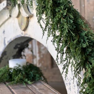 Draping Cedar Garland, Gorgeous Cedar Garland, Dripping Cedar Garland ...