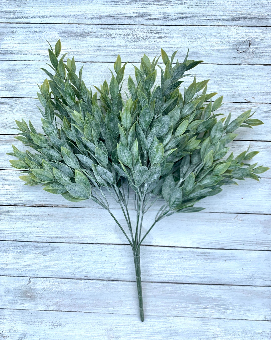 Greenery Bush, Ruscus Green Greenery, L Greenery, Grey Green Greenery ...