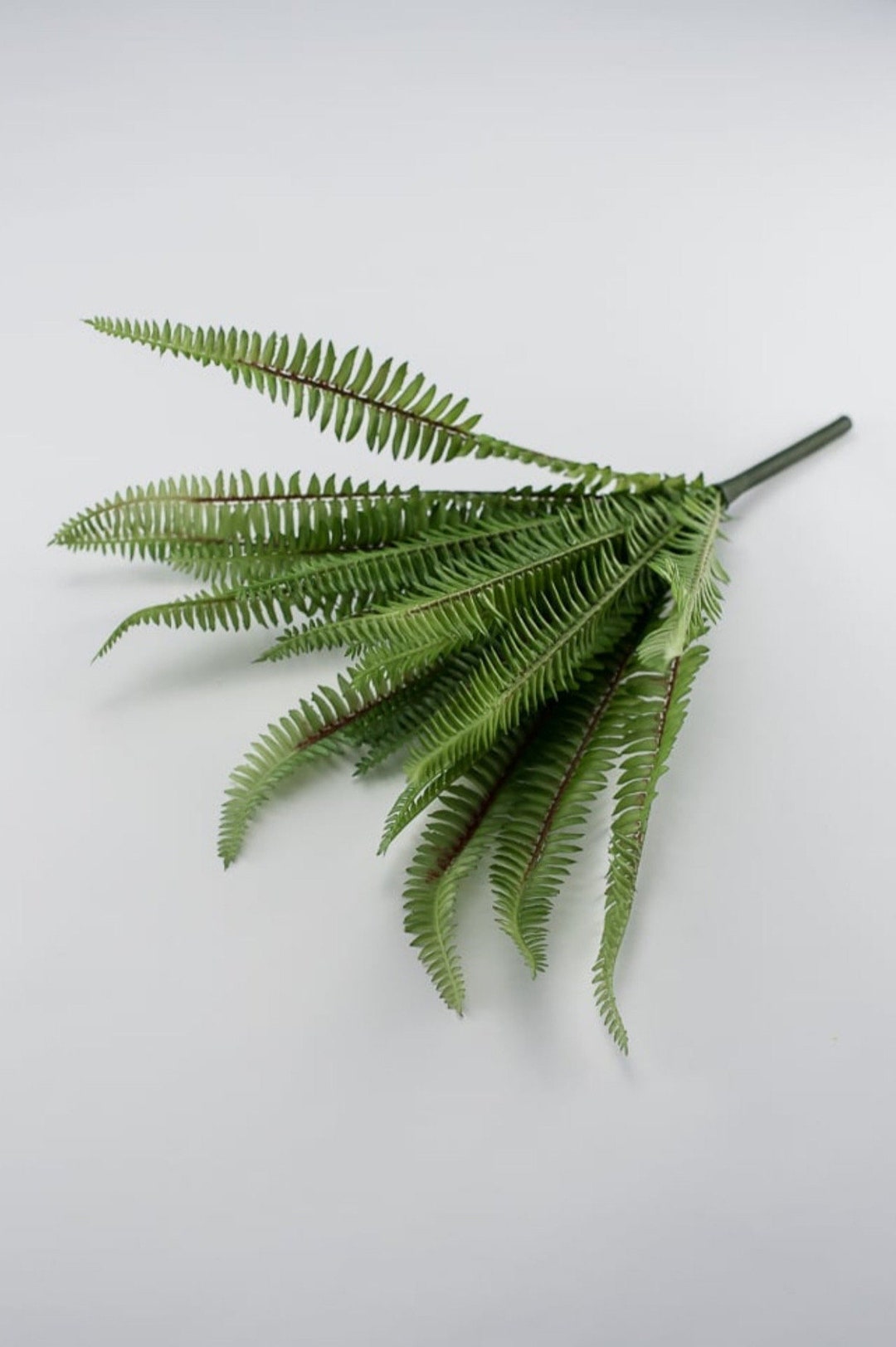 Artificial Fern Bush, Greenery Bush, Artificial Fern, Mixed Greenery ...