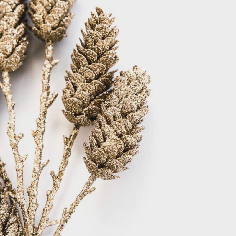 Glitter Pine Cones - Etsy