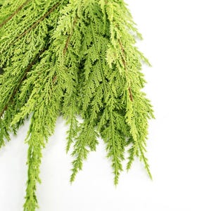 Artificial, Cedar Bundle Bright Green, Faux Cedar, Lime Green Cedar for ...