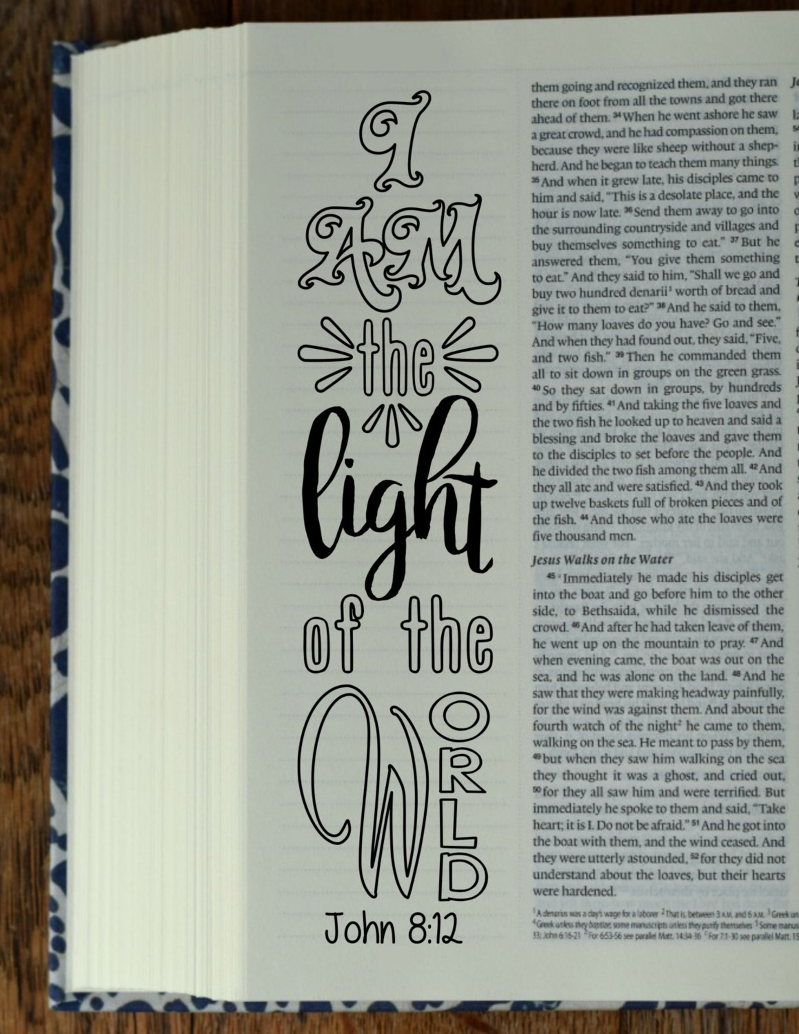 JOHN 4 Bible journaling printable templates illustrated | Etsy