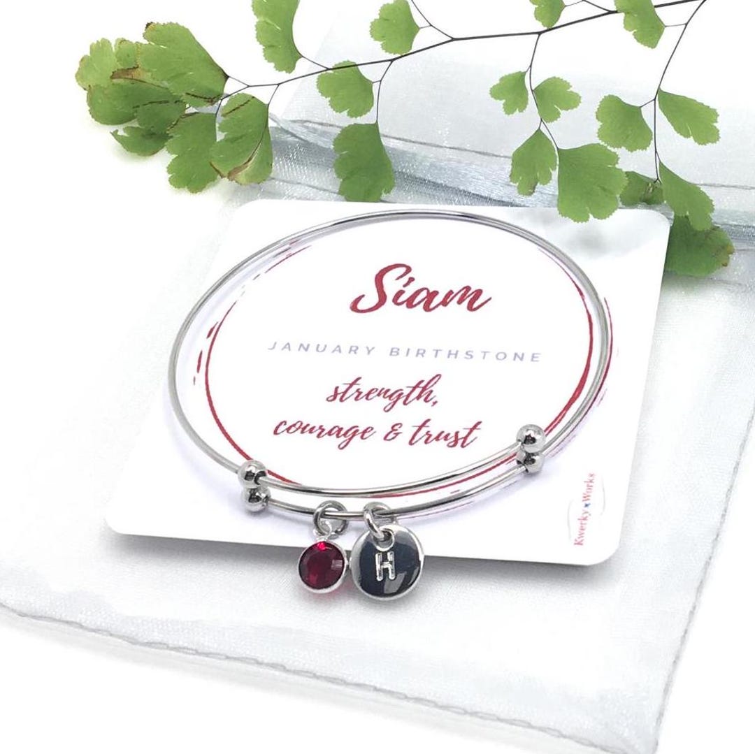 Siam Birthstone Crystal and Letter Charm Bangle: January Birthday Gift ...