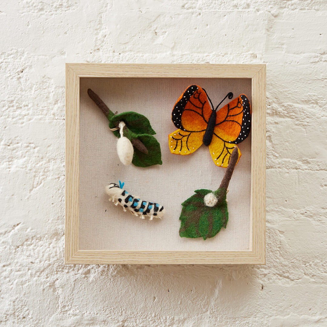 Monarch Butterfly Life Cycle Shadow Box, Hand Felted Insect ...
