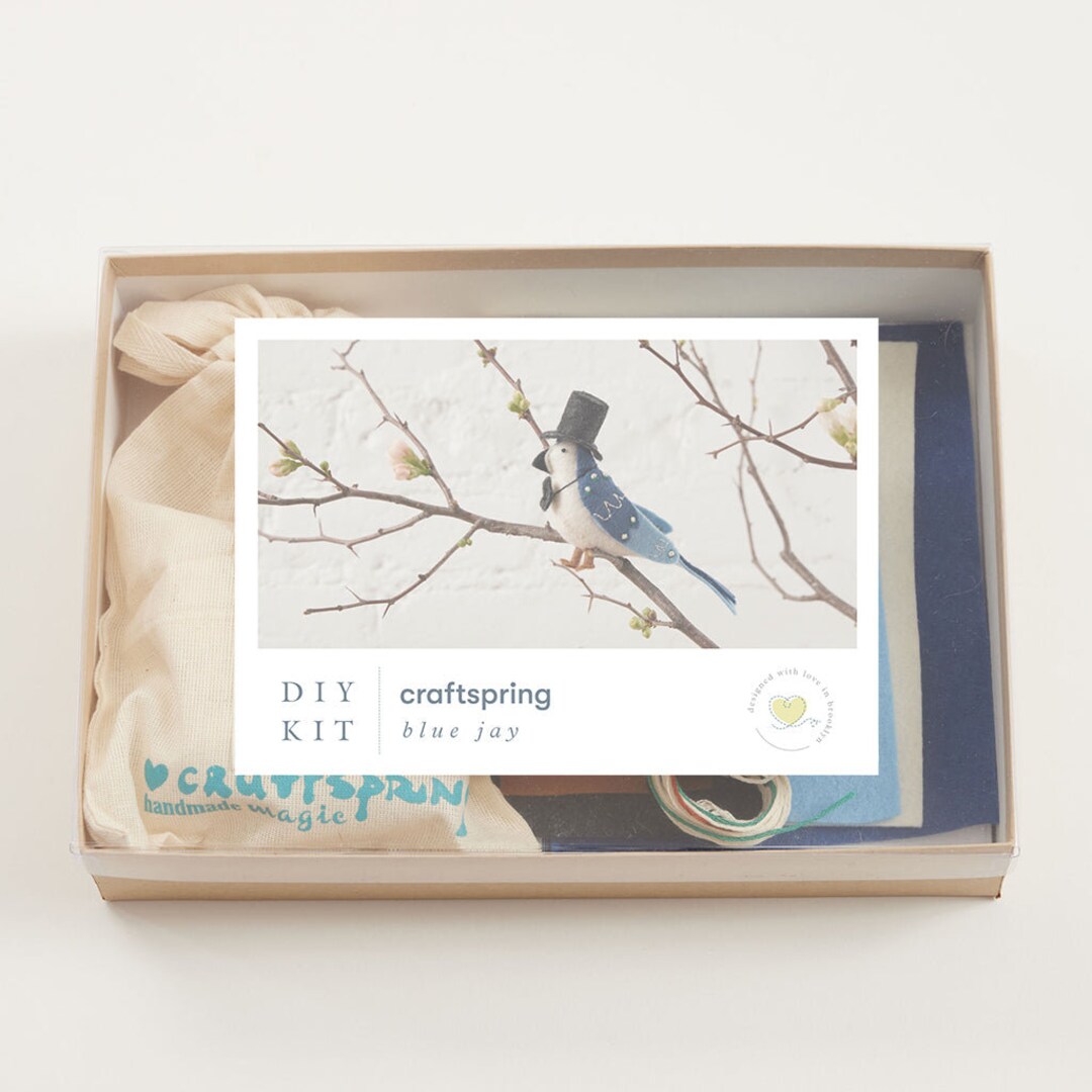 DIY KIT Blue Jay Box Ready-to-needlecraft Materials - Etsy