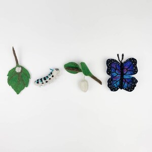 Life Cycle of a Blue Morpho Butterfly Learning Kit, Hand Felted Insect ...