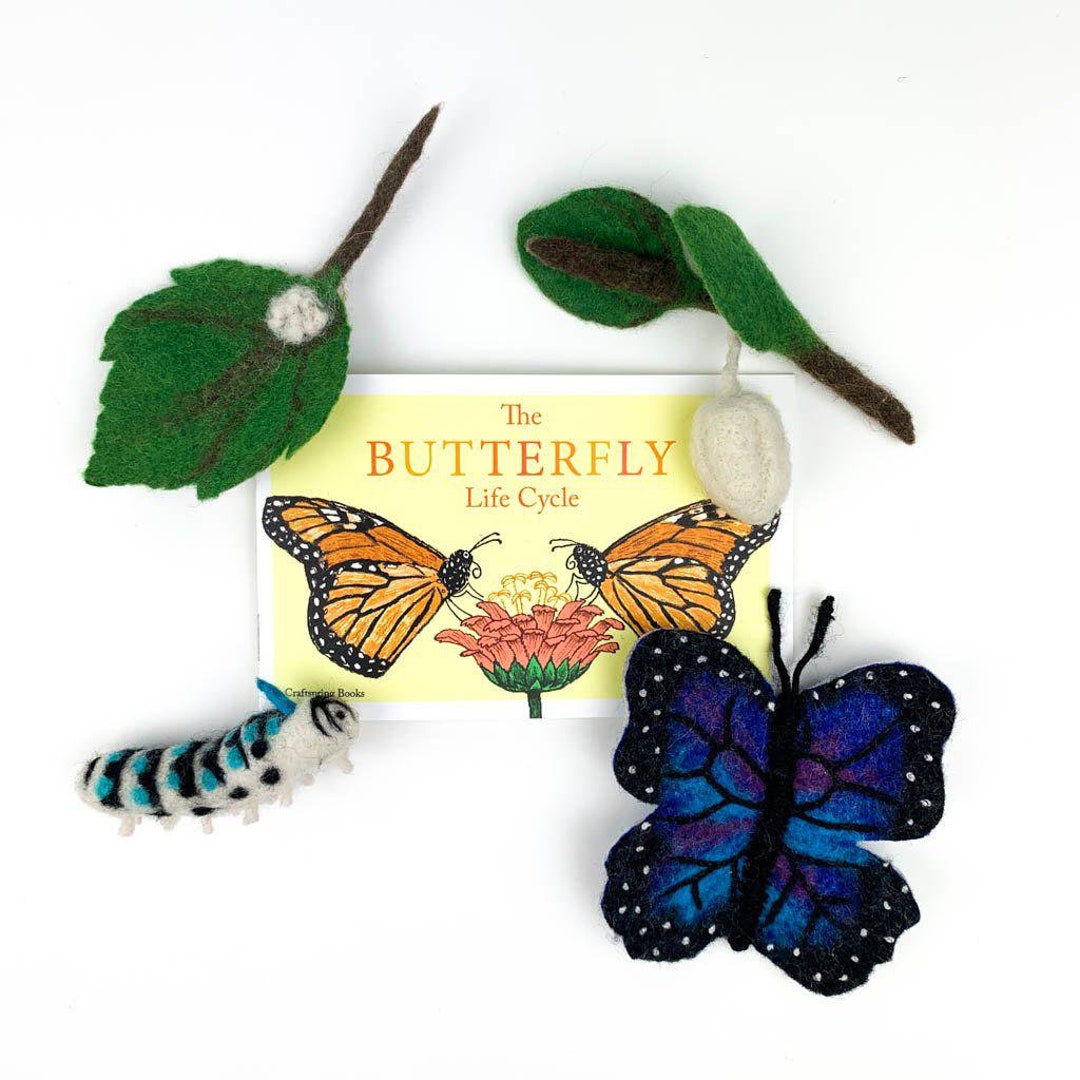 Life Cycle of a Blue Morpho Butterfly Learning Kit, Hand Felted Insect ...