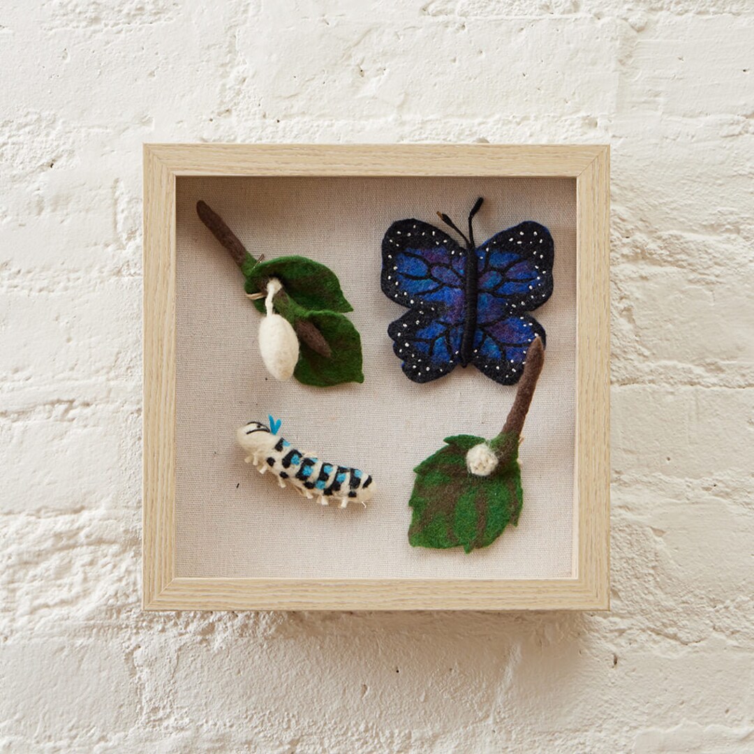Blue Morpho Butterfly Life Cycle Shadow Box, Hand Felted Insect ...