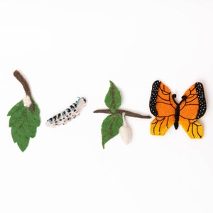 Life Cycle of a Monarch Butterfly Learning Kit, Hand Felted Insect ...