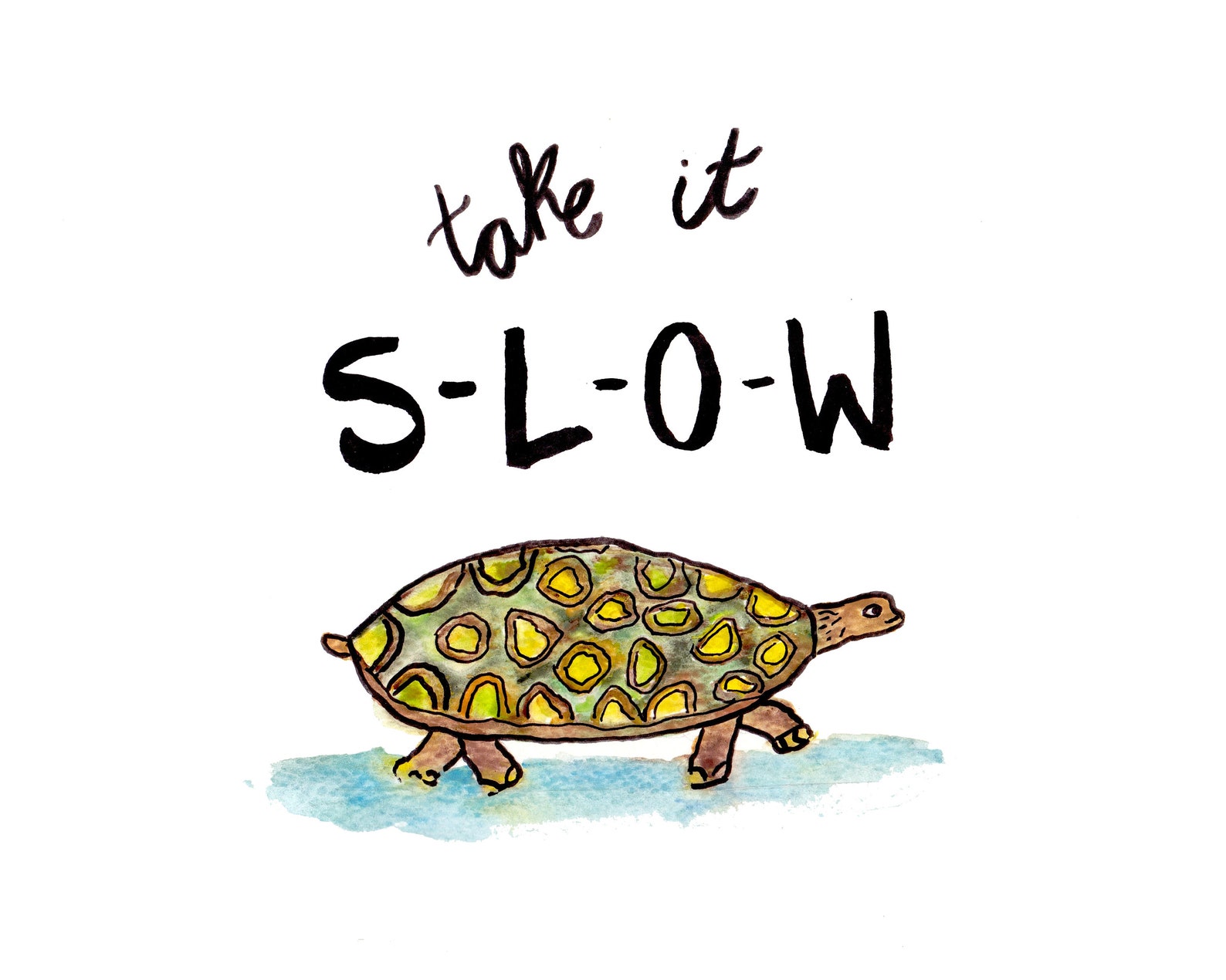 Turtle Art / Turtle Drawing / Take It Slow / Funny Quote / Lettering ...