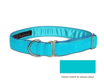 Loop Dog Collar | Etsy