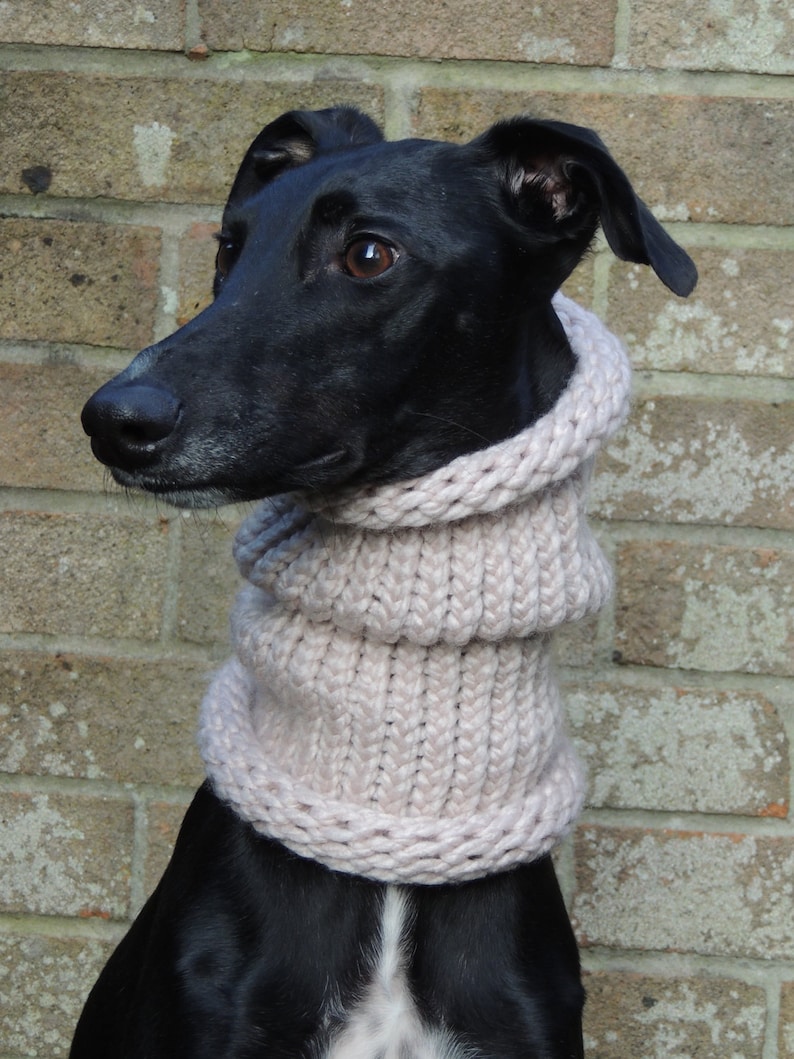 Small Dog Snood / Scarf. Neck Warmer - Italian Greyhound, Chihuahua Etc ...
