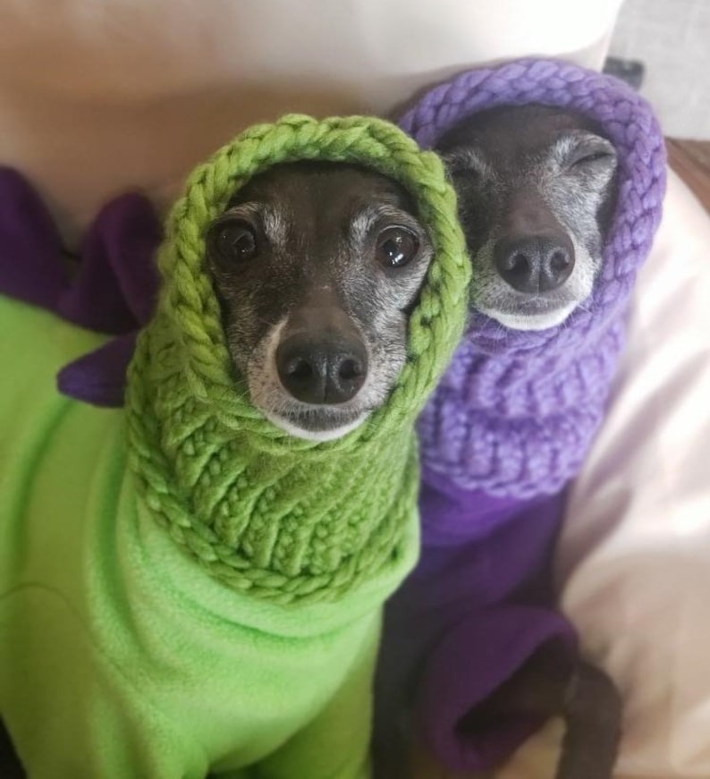 Small Dog Snood / Scarf. Neck Warmer - Italian Greyhound, Chihuahua Etc ...