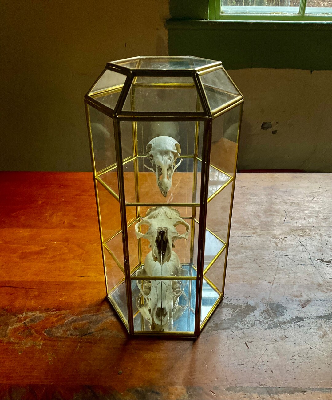 Vintage Tabletop Hexagonal Six Sided Glass and Brass Showcase / Curio ...
