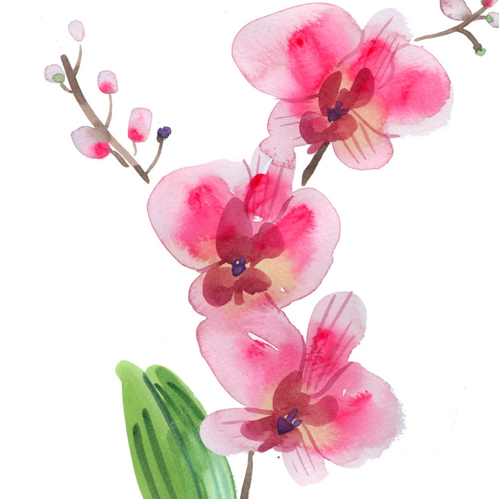 RachelAllsop - Etsy