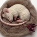 Mouse Nap - Etsy UK