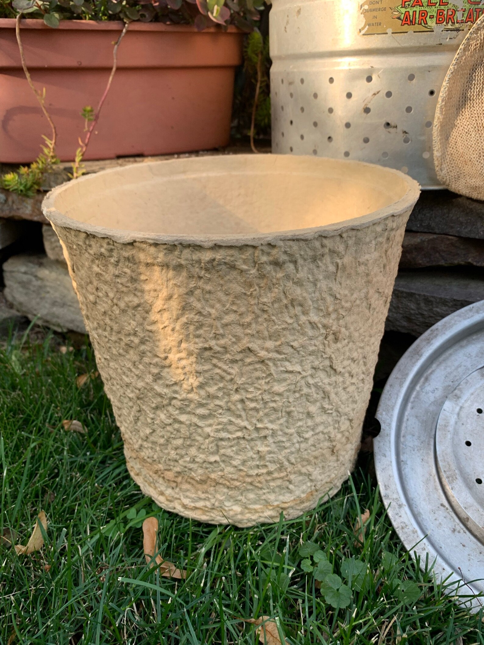 Falls City Air Breather Minnow Bucket Fish Decal Galvinized | Etsy UK