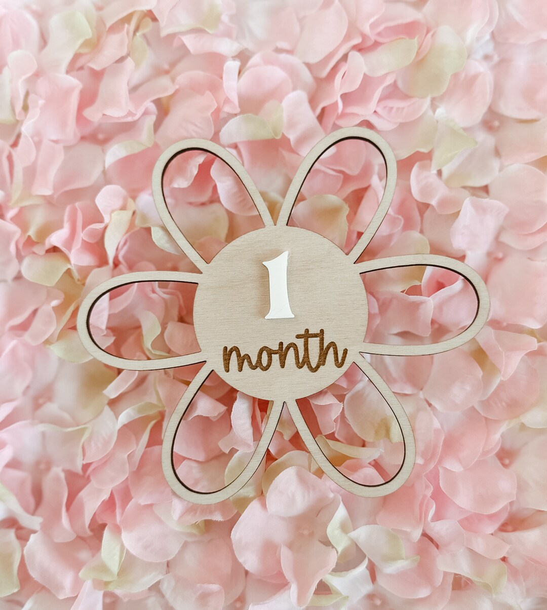 Boho Daisy Milestone, Daisy Baby Milestone Marker, Daisy 1st Year ...