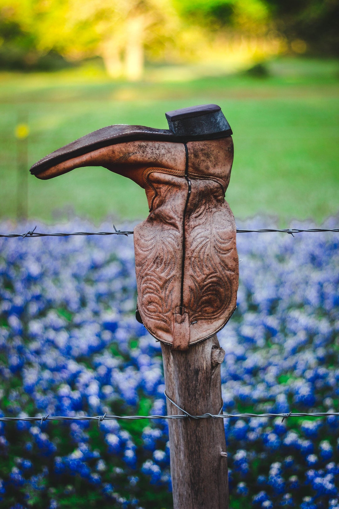 Cowboy Boot on Fence Post | Texas Rural Landscape | Bluebonnet Flowers ...