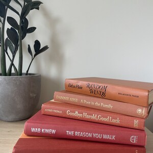 Terracotta Decorative Book Set: Themed Book Bundle, Home Decor - Etsy