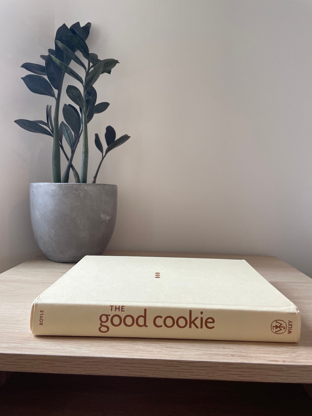 Beige Coffee Table Book, Beige Books, Single Books, Modern Home ...