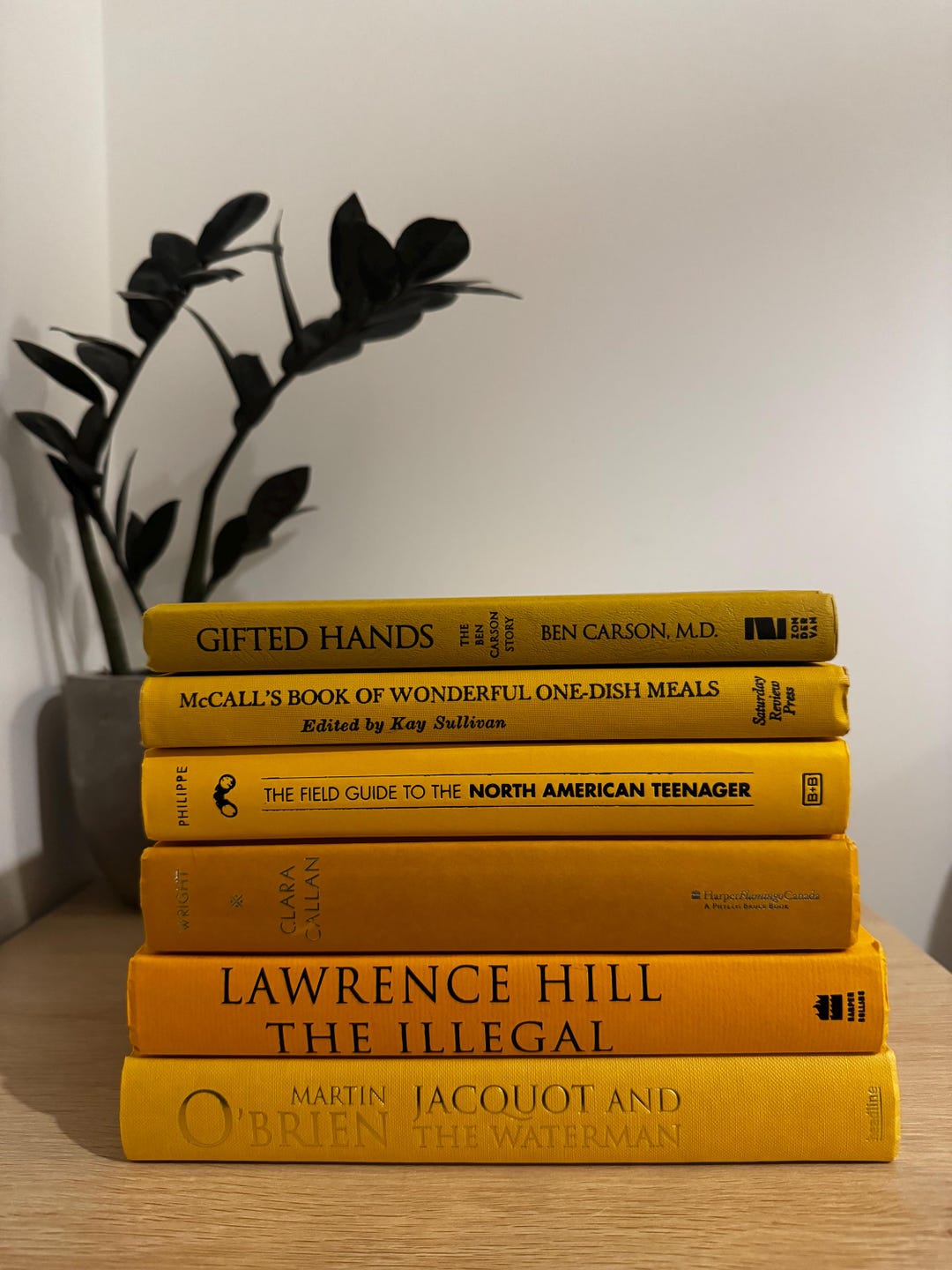 Mustard Book Decor, Yellow Home Decor, Shelf Decor Items, Prop Staging ...