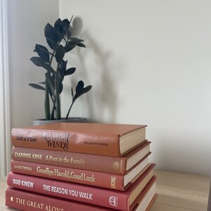 Terracotta Decorative Book Set: Themed Book Bundle, Home Decor - Etsy