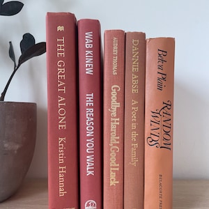 Terracotta Decorative Book Set: Themed Book Bundle, Home Decor - Etsy