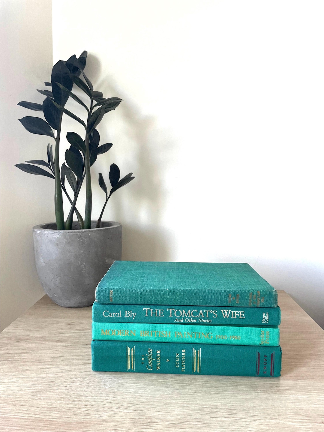 Turquoise Decorative Book Set: Limited Edition Staged Book Bundle - Etsy