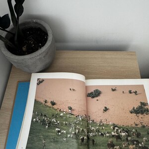 Large Tan and Gold Coffee Table Book, Living on the Earth Book, Home ...