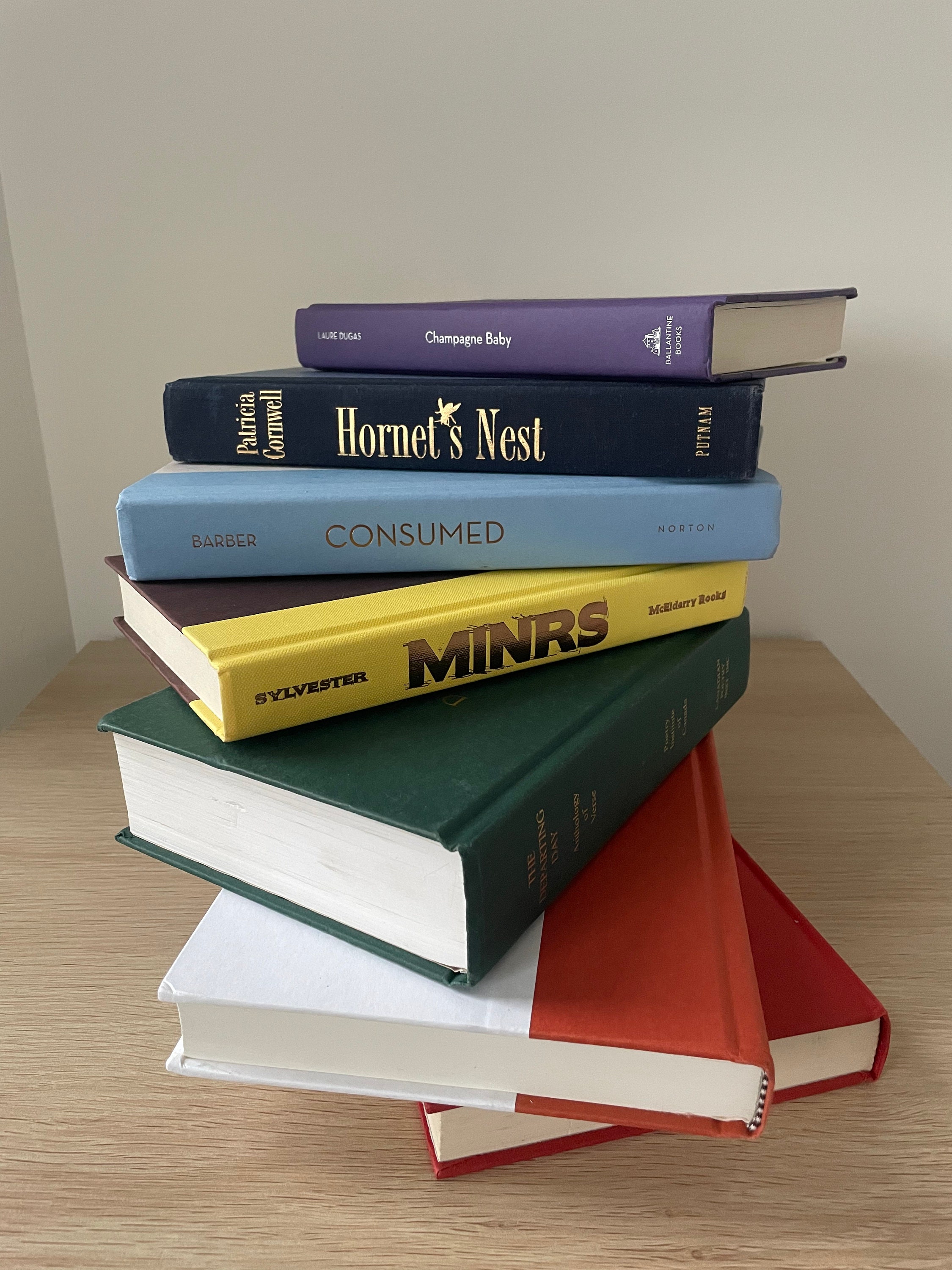 Rainbow Book Stack, Themed Books, Book Decor, Pride Book Stack ...