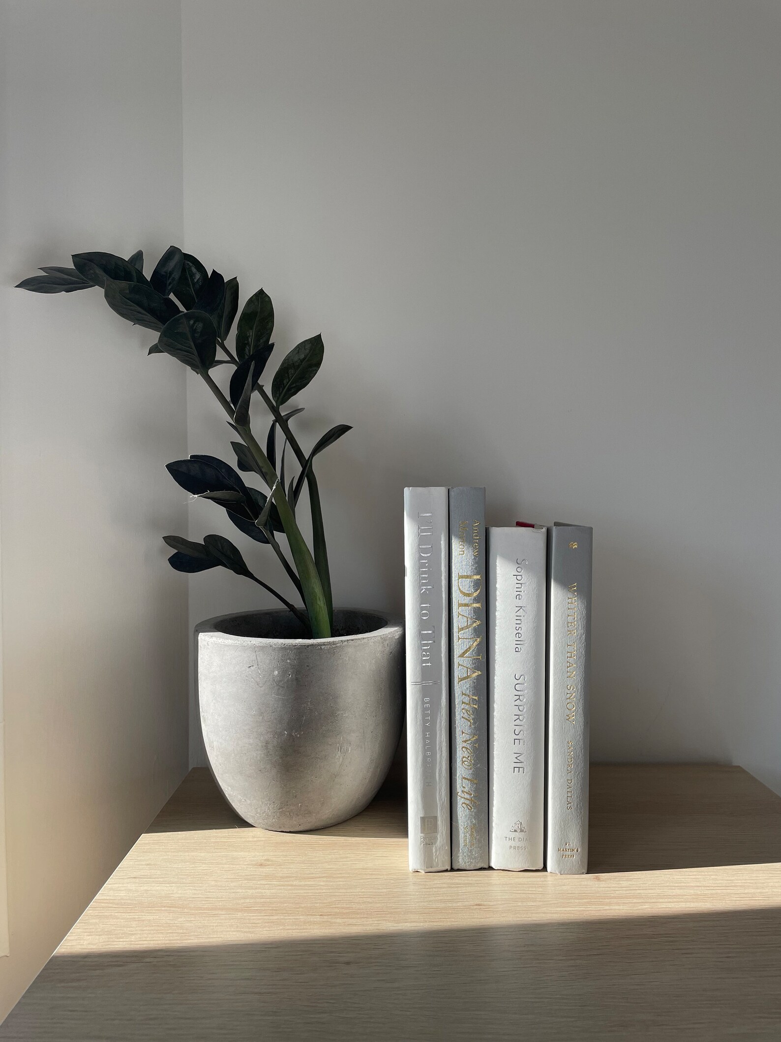 Grey and White Book Stack, Decorative Books, Book Sets, Prop Staging ...