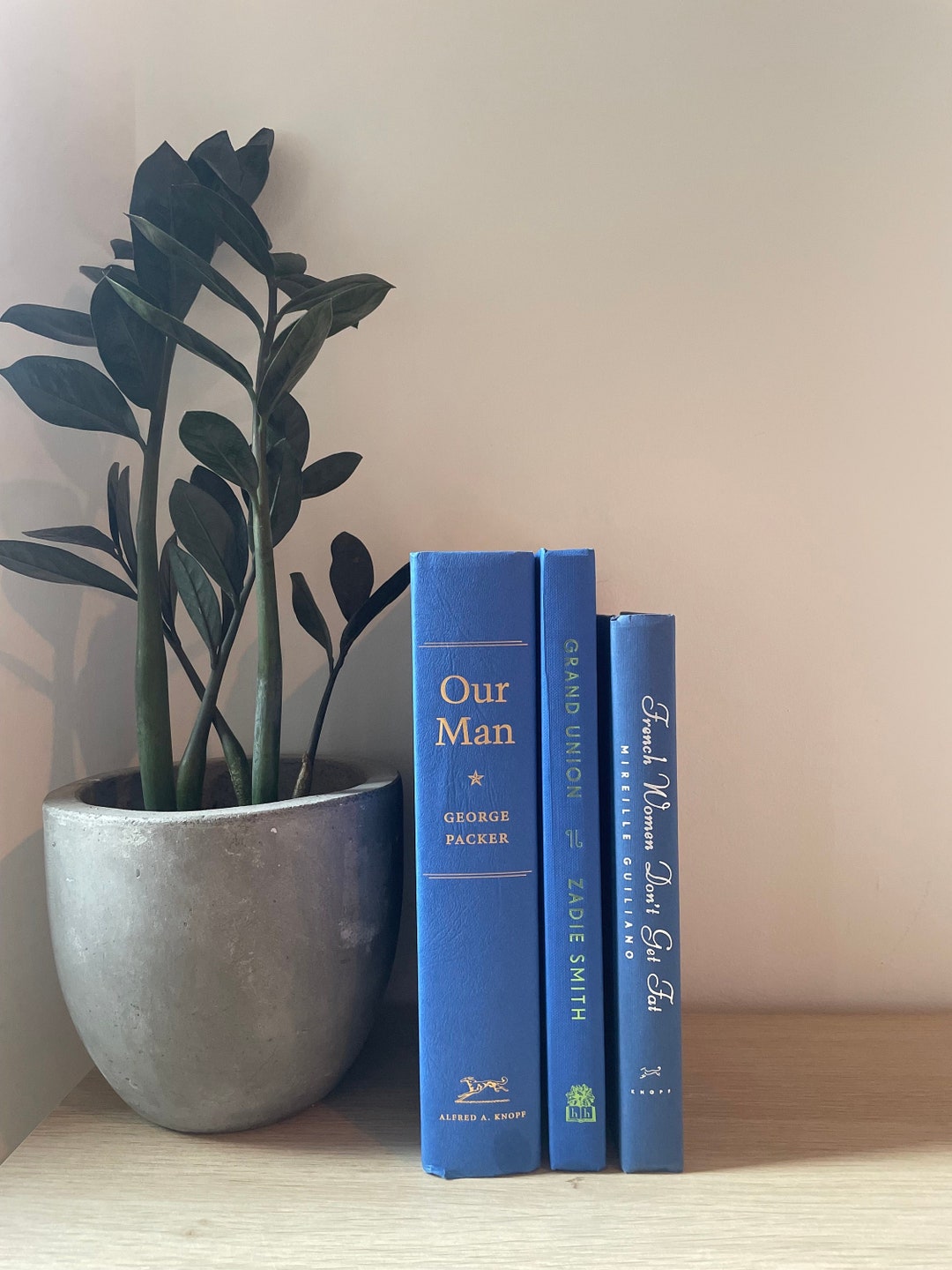 Medium Blue Book Stack, Blue Books, Decorative Books, Prop Staging, Themed Book Sets, Colourful ...