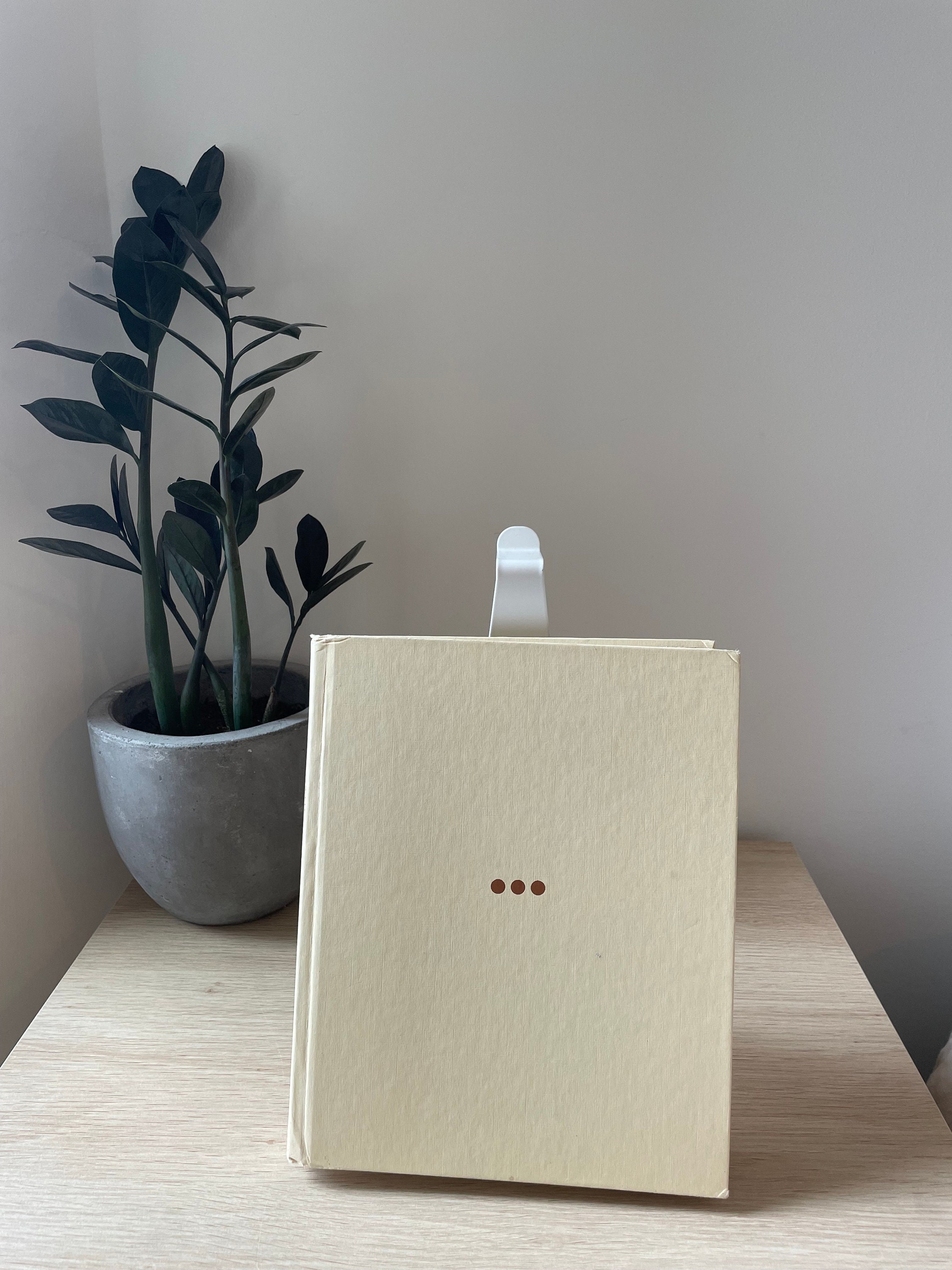 Beige Coffee Table Book, Beige Books, Single Books, Modern Home ...