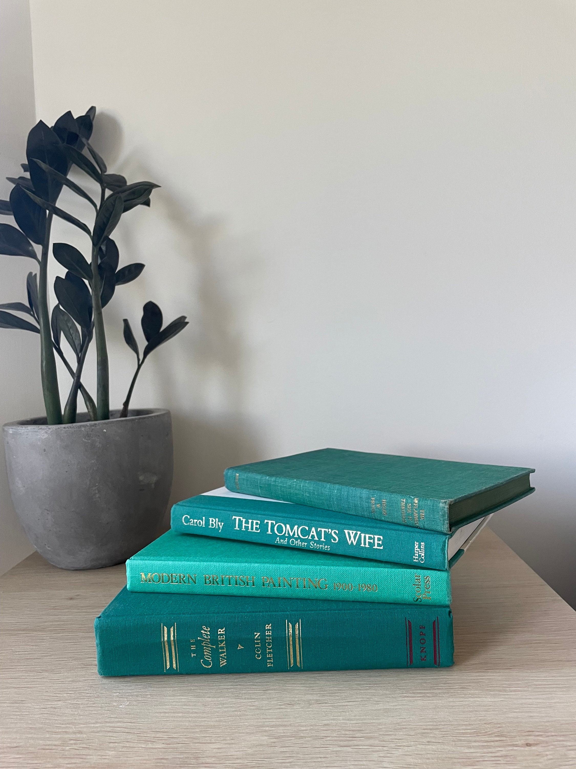 Turquoise Coloured Books, Blue Book Set, Themed Book Bundles, Colourful ...