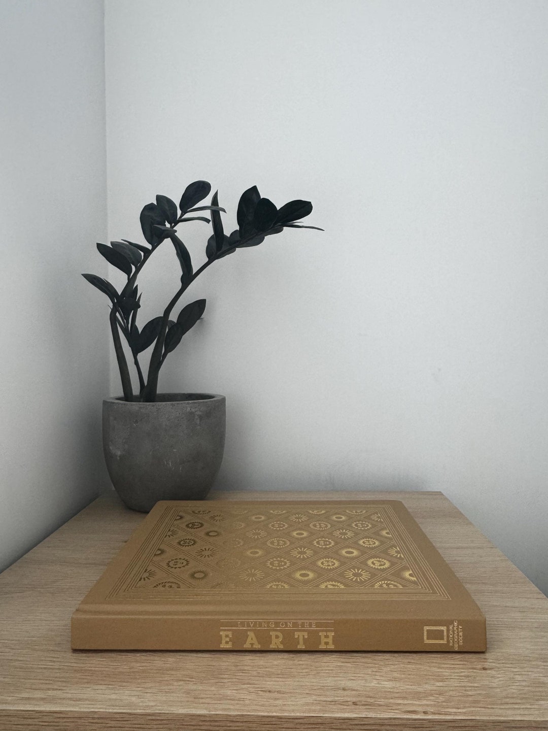Large Tan and Gold Coffee Table Book, Living on the Earth Book, Home ...
