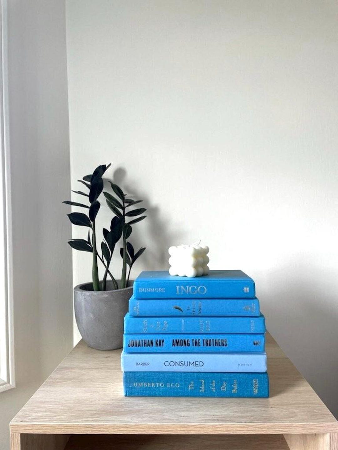 Light Blue Book Set, Colourful Books, Themed Books, Decorative Books ...