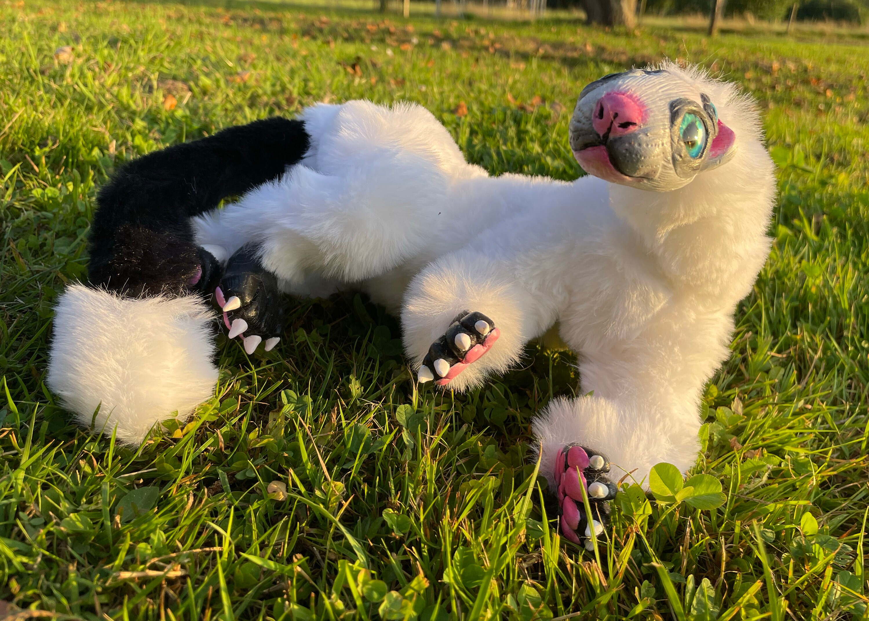 Cute Ferret Cat Posable Art Doll, Fantasy Artdoll Creature, White and ...