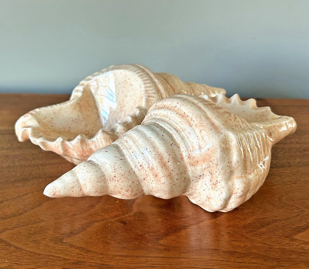 Vintage Ceramic Conch Sea Shell Ceramic Ash Tray - Etsy