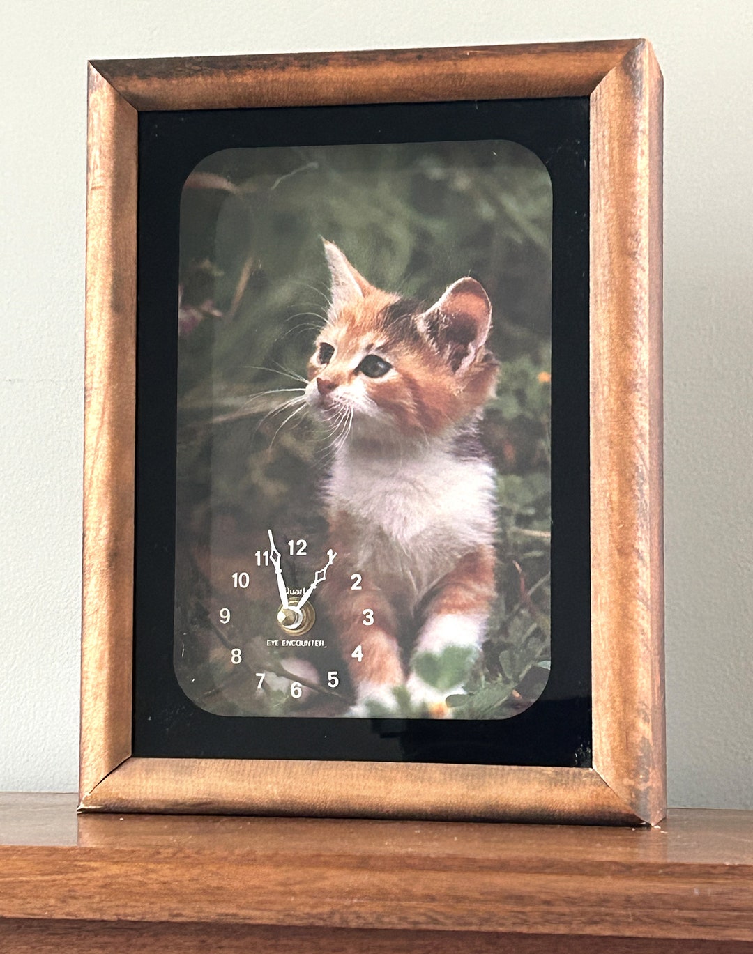 Vintage Kitten Clock Clyde Butcher Photo Clock Shadow Box - Etsy