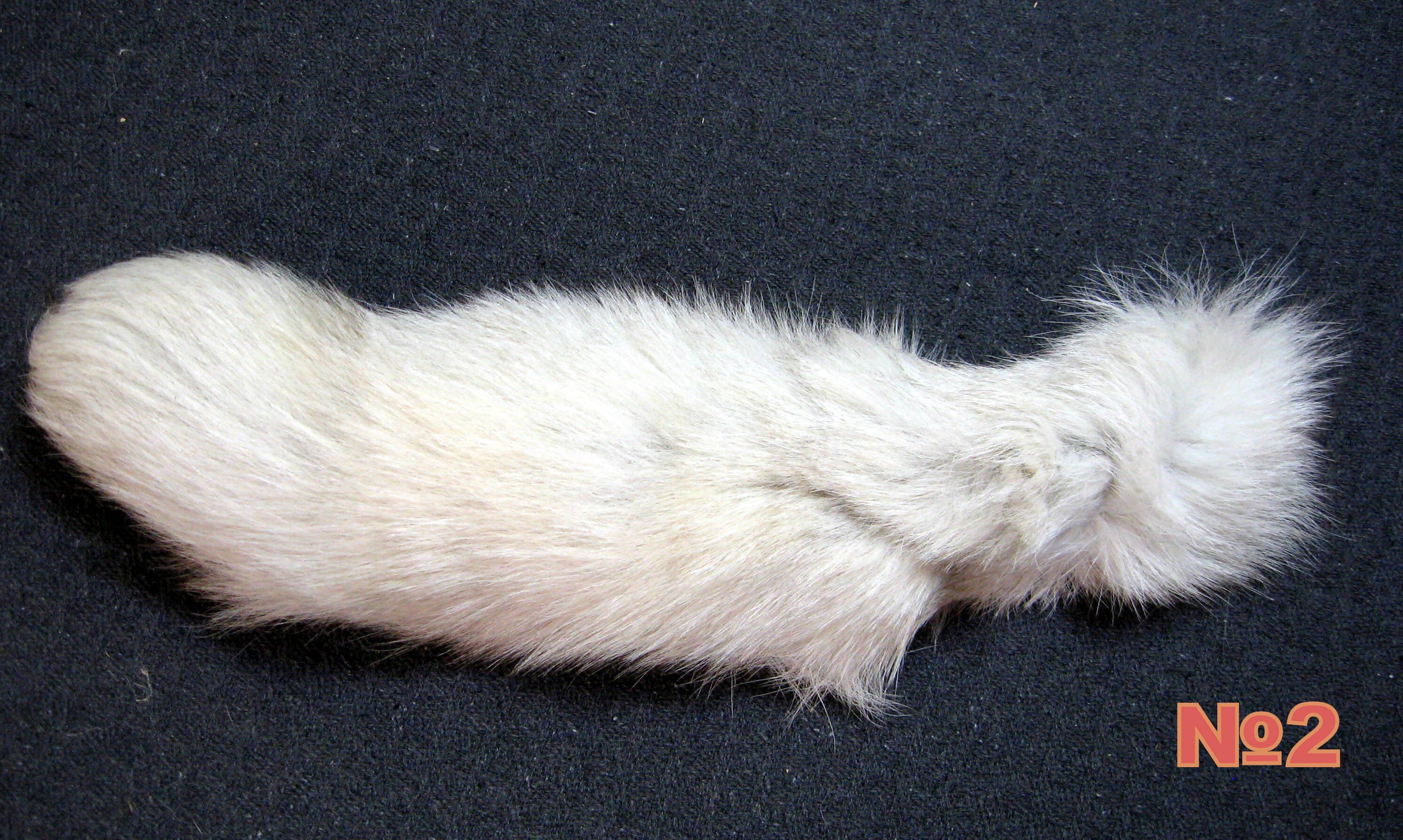 Real Large Arctic Fox Tails Genuine Fox Fur tails natural Fur | Etsy