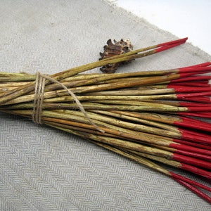Dried Yarrow Stalks Stems Sticks Achillee Divination I Ching 10 Inches ...