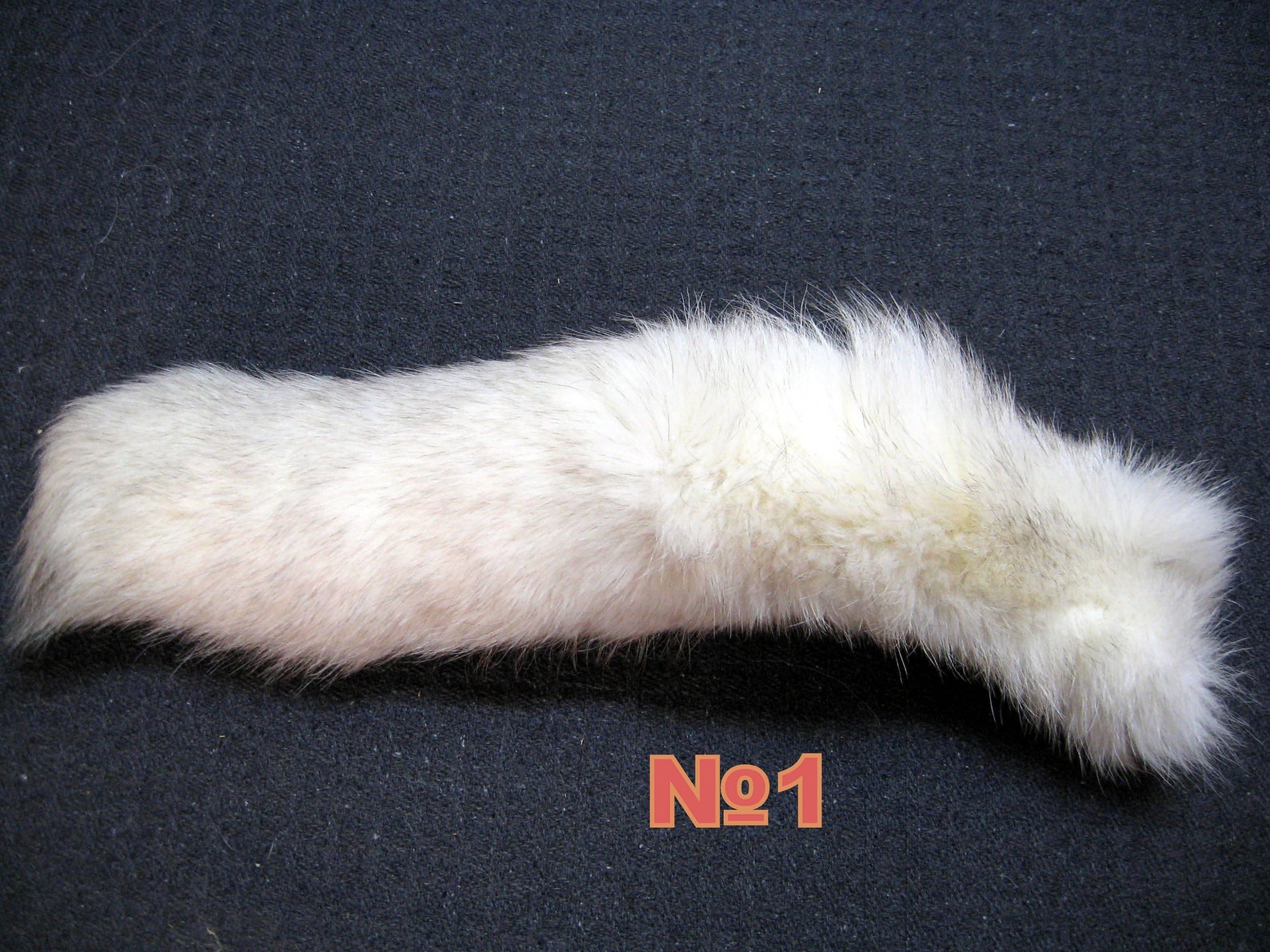 Real Large Arctic Fox Tails Genuine Fox Fur tails natural Fur | Etsy