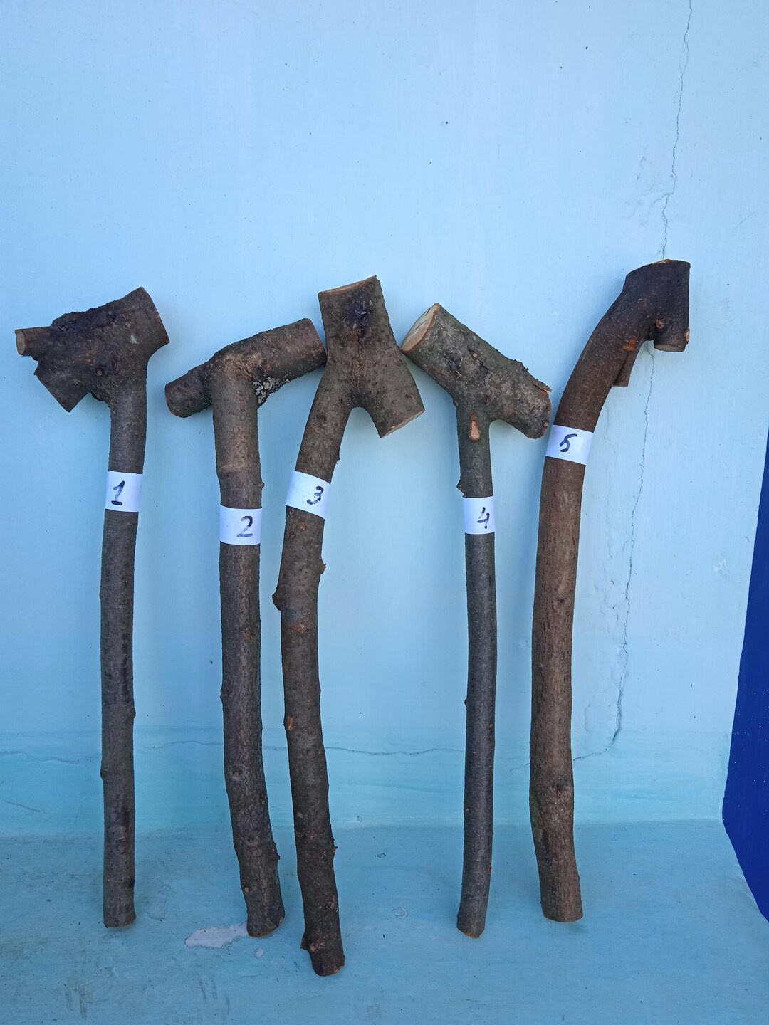 20" Unfinished Blackthorn, Walking Stick, Branch of Thorns, Branch for ...