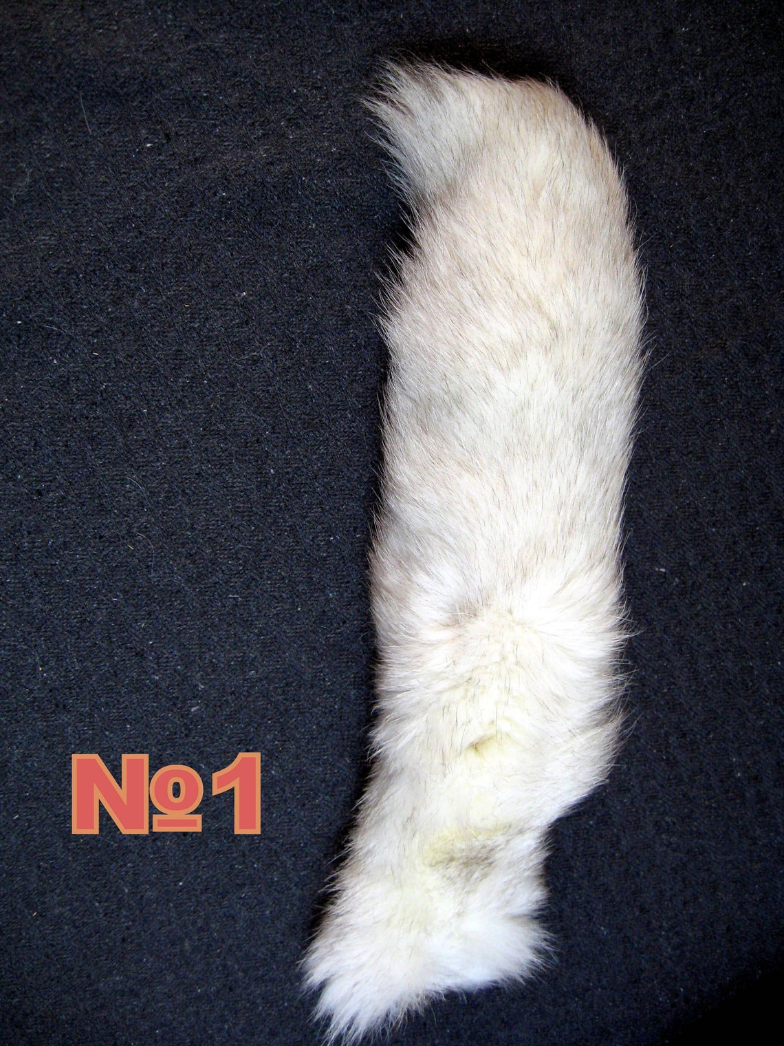 Real Large Arctic Fox Tails Genuine Fox Fur tails natural Fur | Etsy