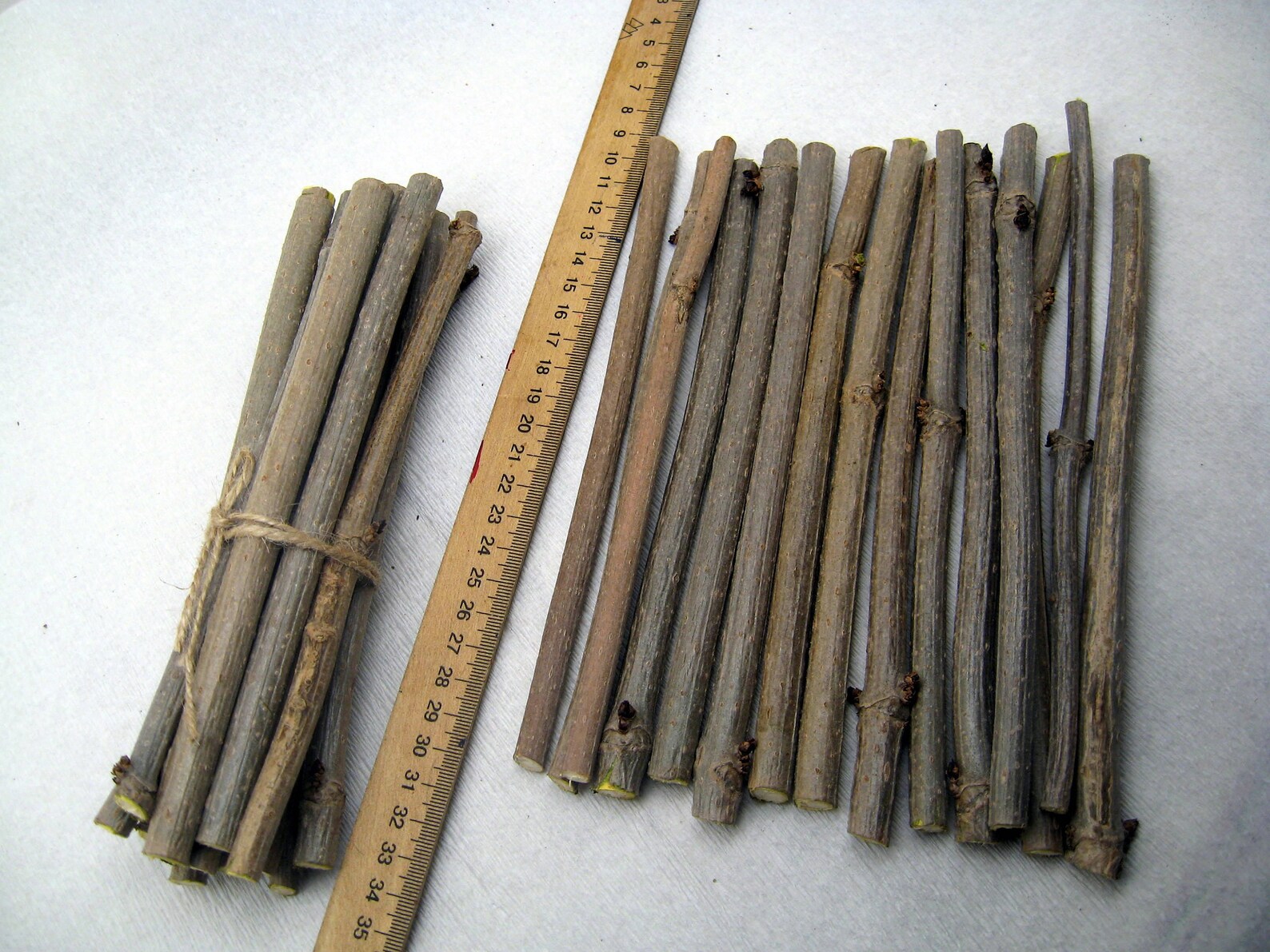 Elder Wanddried Elder Branchelder Twigbranch Black - Etsy