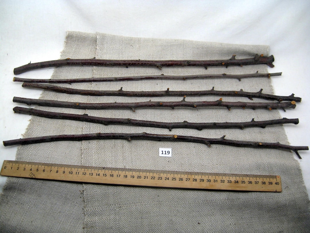 8 Blackthorn Branches, Magical Wood, Blackthorn Spikes, Branch for ...